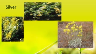 GEOBOTONICAL GUIDES FOR ORE | PPTX