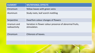 GEOBOTONICAL GUIDES FOR ORE | PPTX