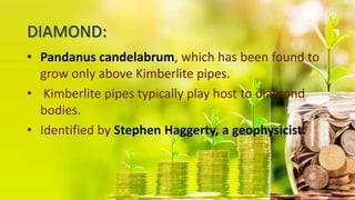 GEOBOTONICAL GUIDES FOR ORE | PPTX