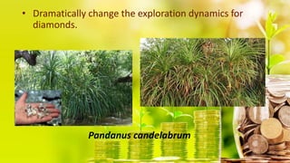 GEOBOTONICAL GUIDES FOR ORE | PPTX