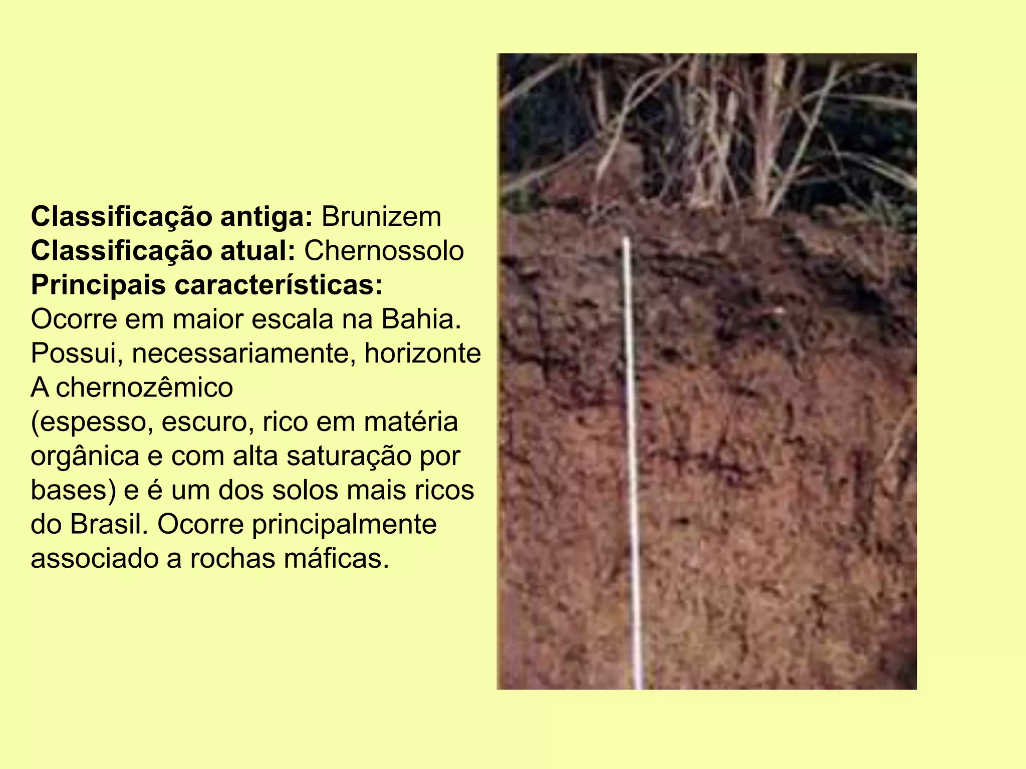 Dominio Araucarias | PPTX | Geography | Science