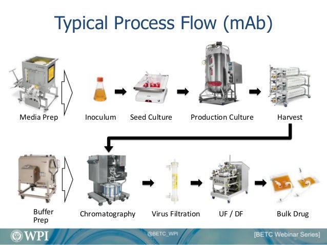 Tracking Single-Use & Scale-Up Best Practices