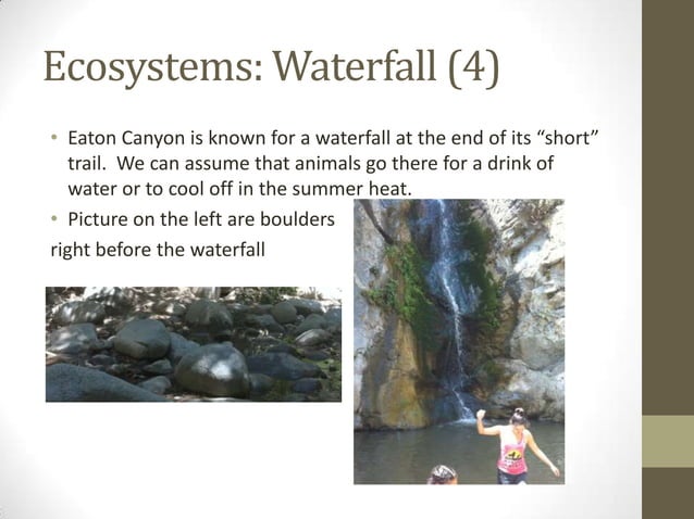 Geo field chiang | PPT