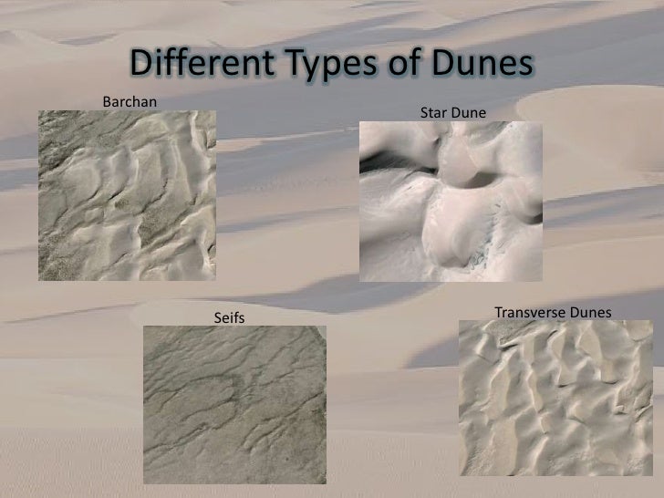 Geography Final Project