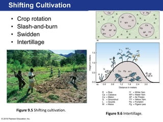 Geog. 102 geography of agriculture | PPTX