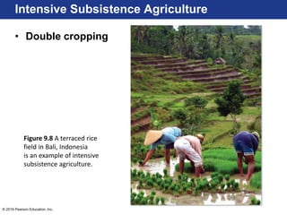 Geog. 102 geography of agriculture | PPTX