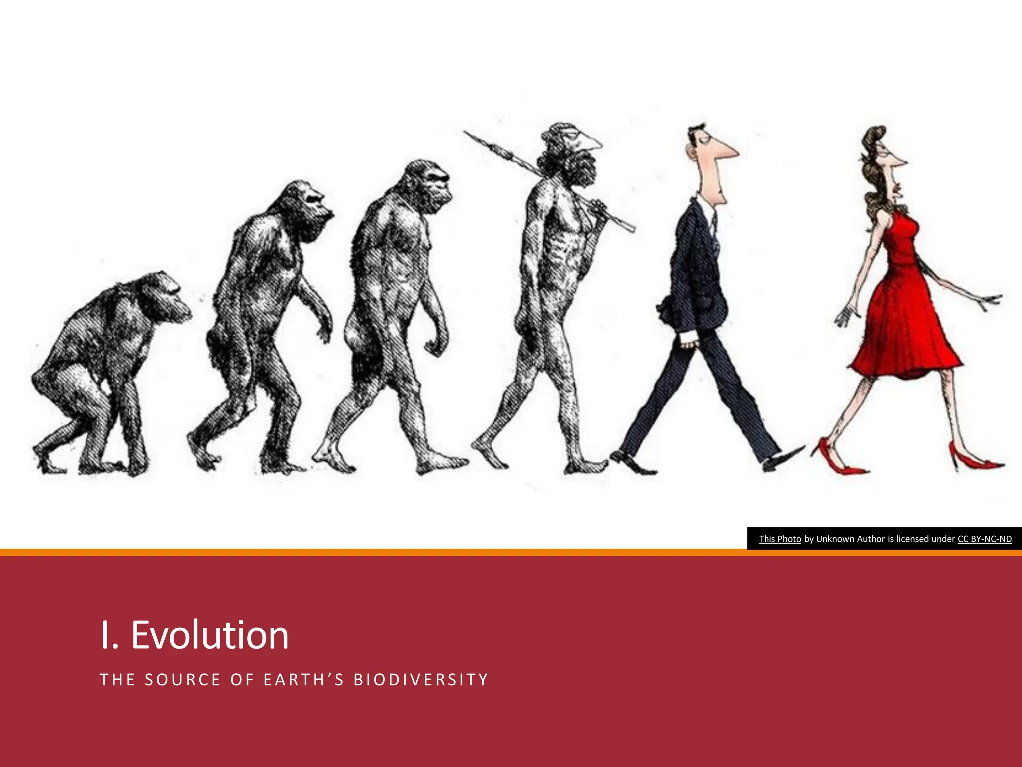 GEOG1000 Chapter 3 Evolution, Biodiversity and Population Ecology.pdf