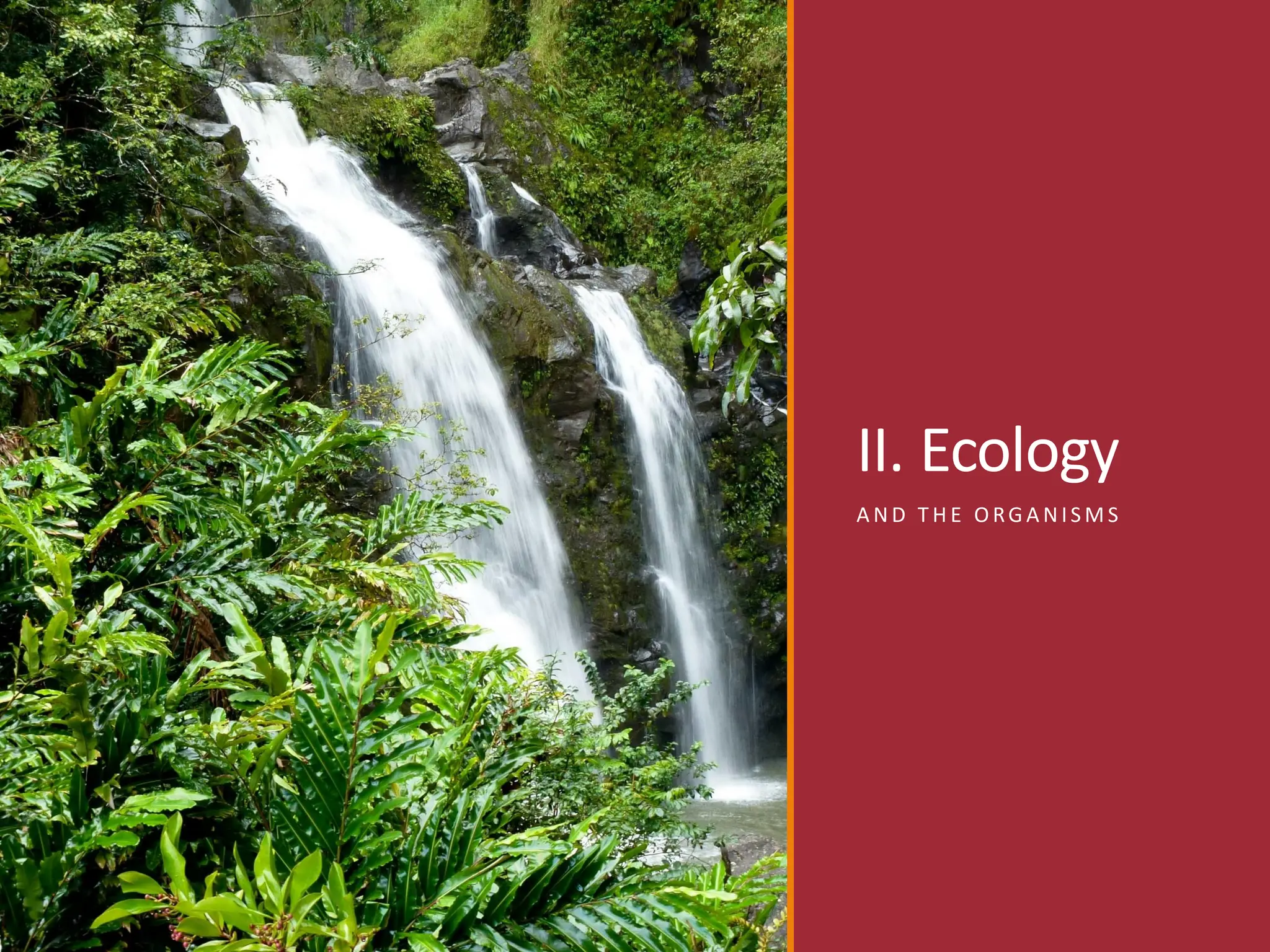 GEOG1000 Chapter 3 Evolution, Biodiversity and Population Ecology.pdf