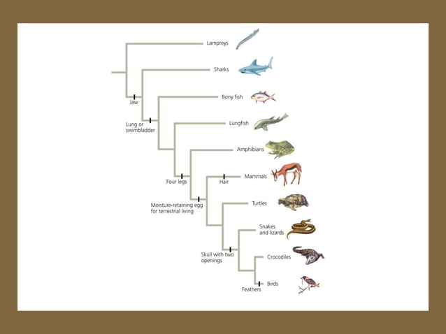 GEOG1000 Chapter 3 Evolution, Biodiversity and Population Ecology.pdf
