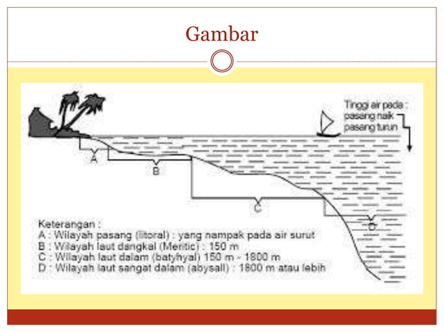 Geografi Zona Pesisir dan Pantai | PPT