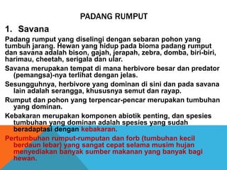 Padang Rumput | PPTX