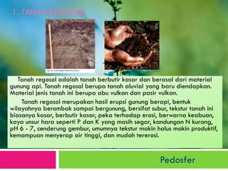 Geografi Pedosfer Tanah Regosor | PPT
