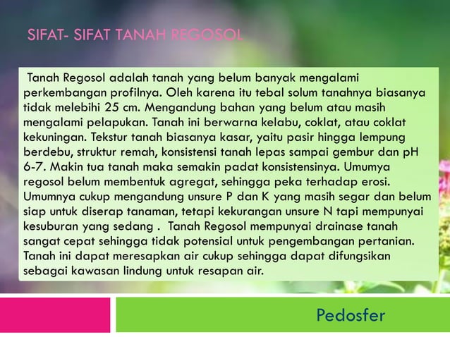 Geografi Pedosfer Tanah Regosor | PPT