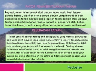 Geografi Pedosfer Tanah Regosor | PPT