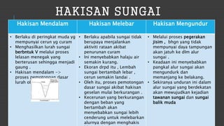 Geografi fizikal- faktor yang mempengaruhi hakisan permukaan | PPTX