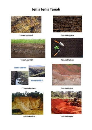-Geografi-jenis-jenis-tanah 12 jenis tanah di indonesiaaa | PDF