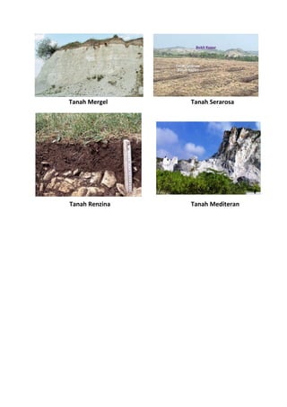 -Geografi-jenis-jenis-tanah 12 jenis tanah di indonesiaaa | PDF