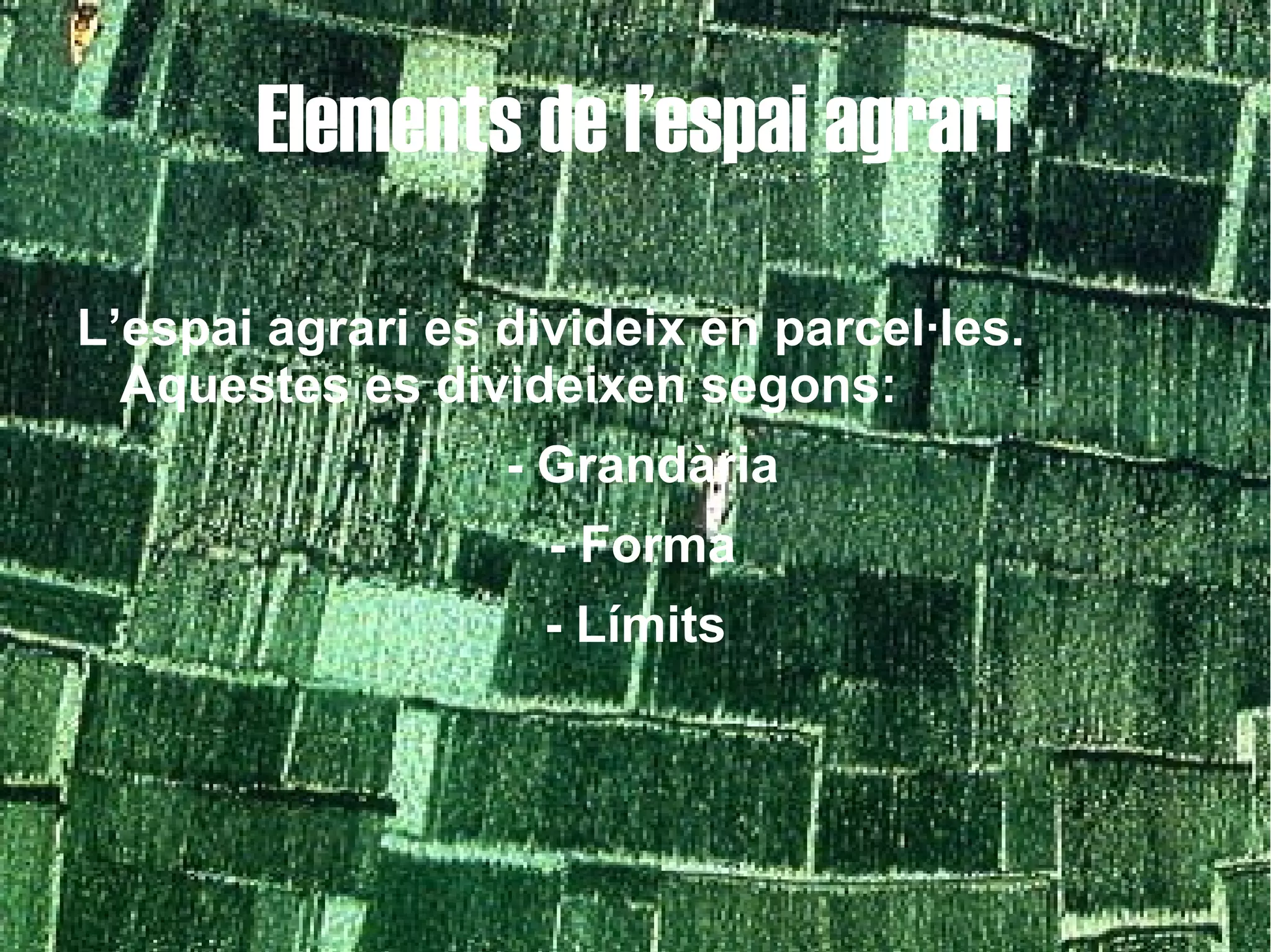 Sector primari_Nora_Alba | PPT