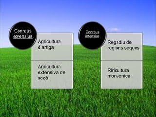 Sector primari_Nora_Alba | PPT