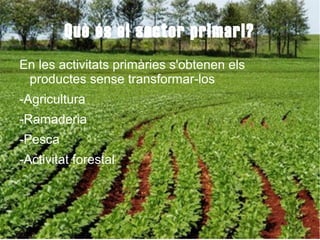 Sector primari_Nora_Alba | PPT