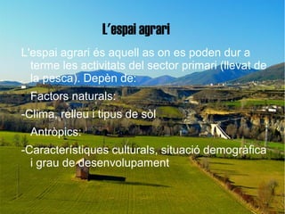 Sector primari_Nora_Alba | PPT