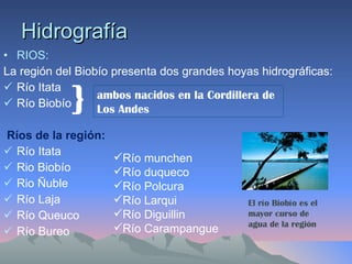 Geografia regional octava región | PPT