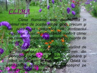 Geografia romaniei | PPT