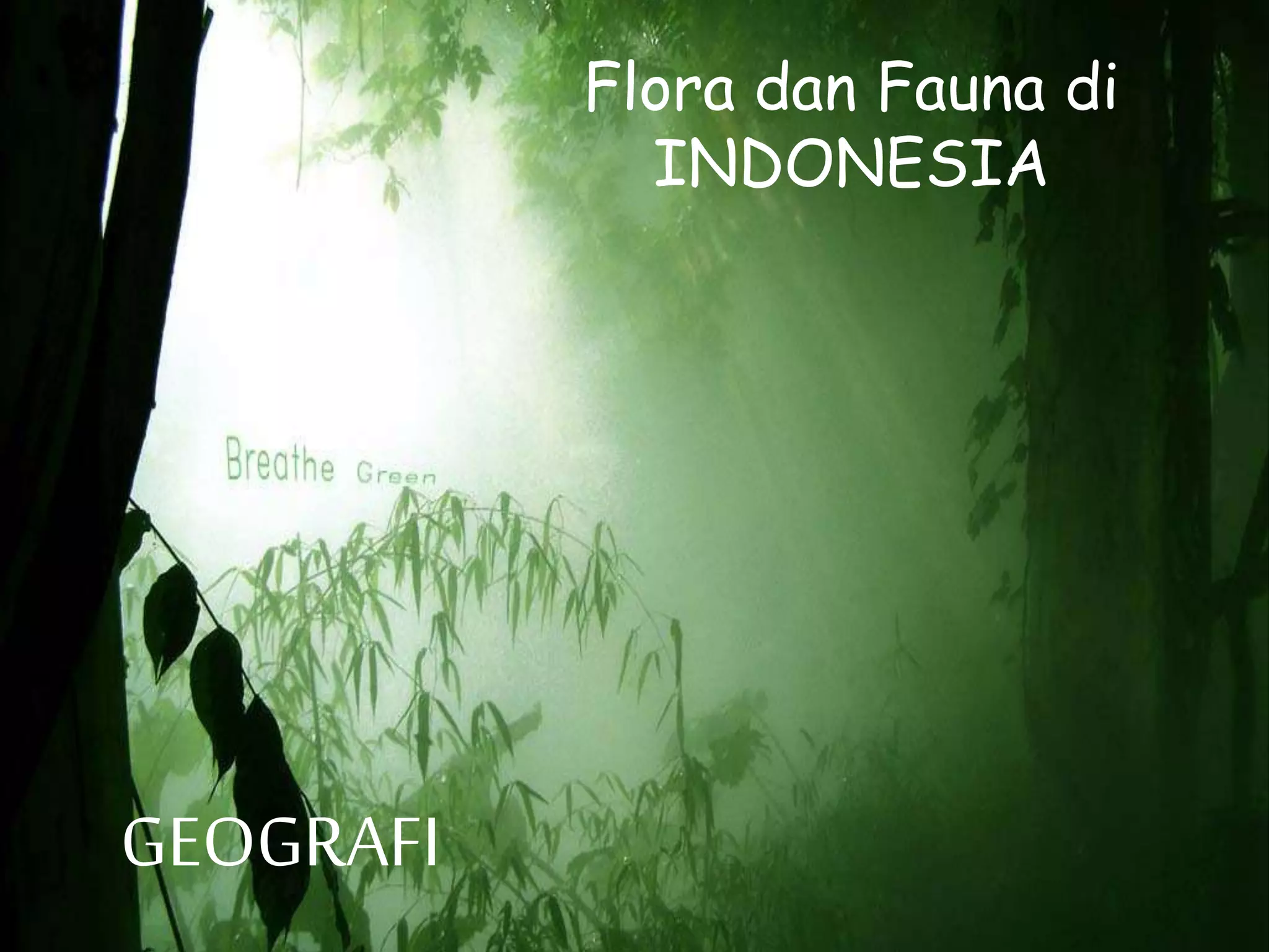 Persebaran Fauna dan Flora di Indonesia | PPTX
