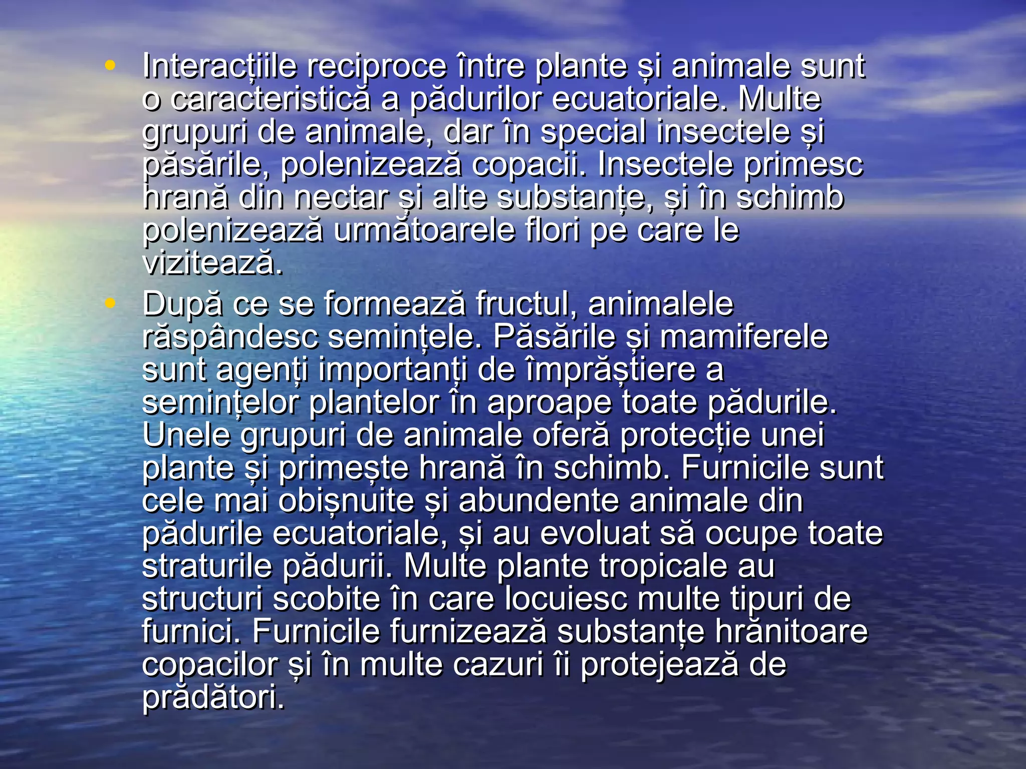 Geografie padurea ecuatoriala | PPT