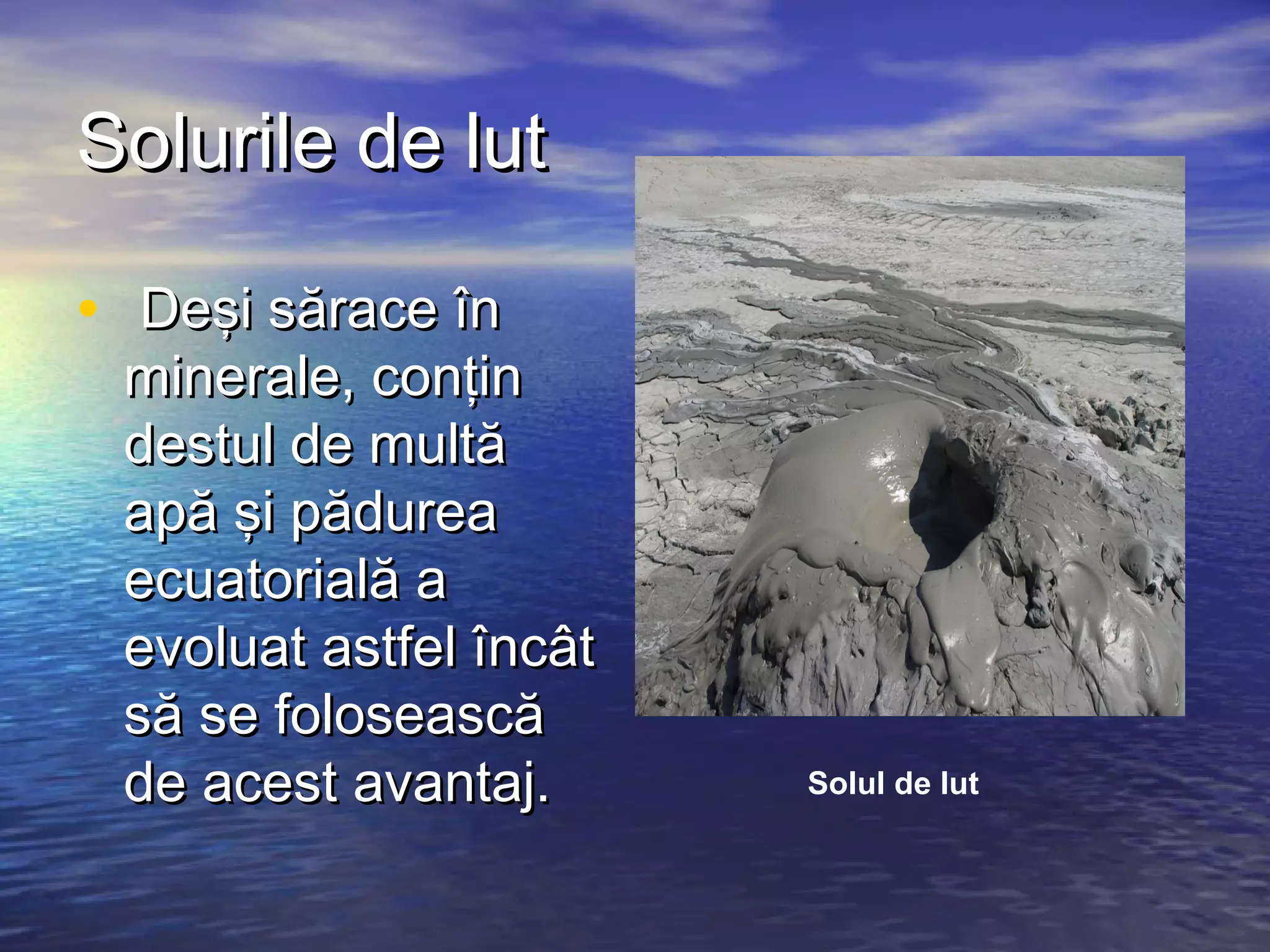 Geografie padurea ecuatoriala | PPT