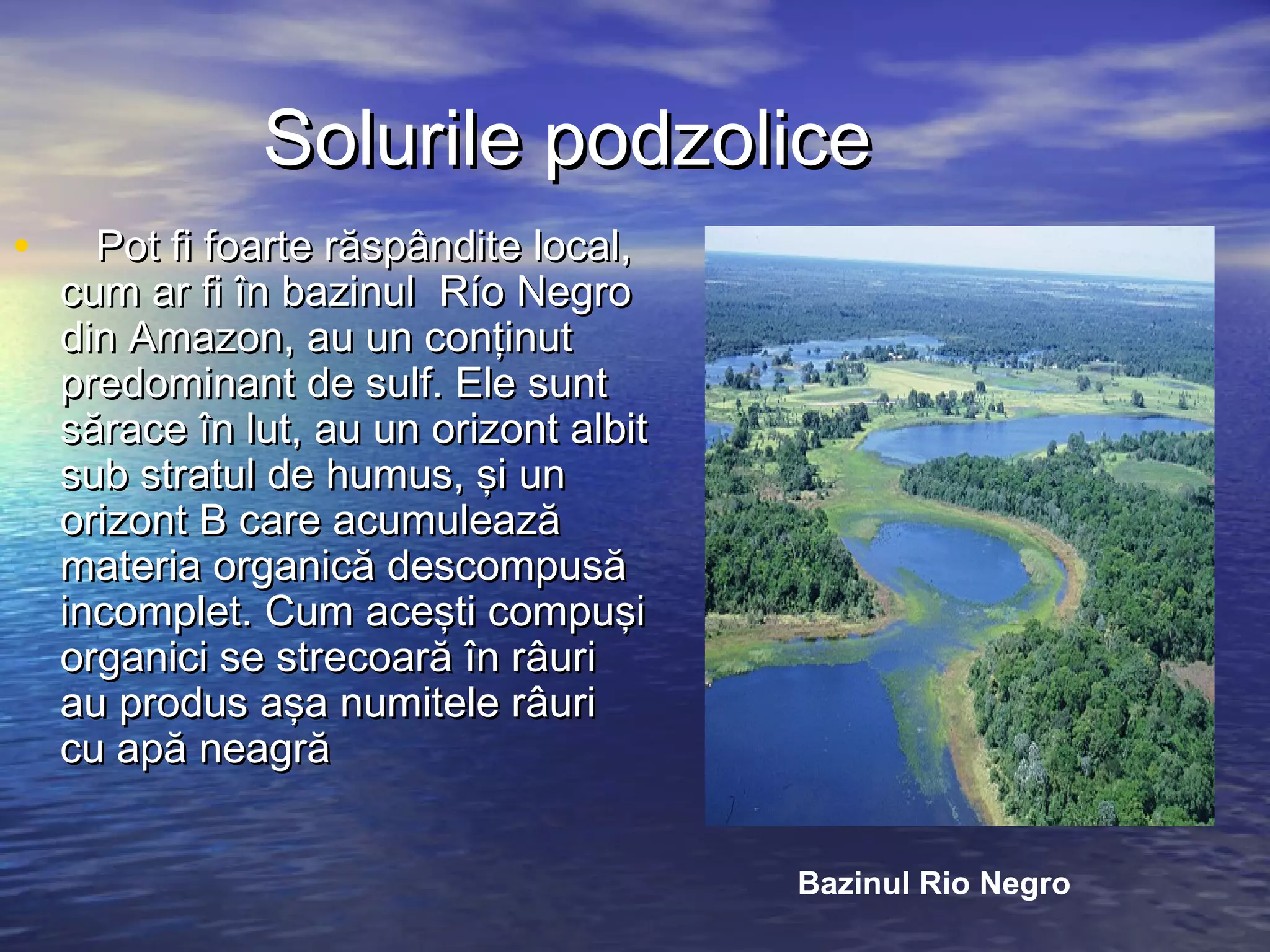 Geografie padurea ecuatoriala | PPT