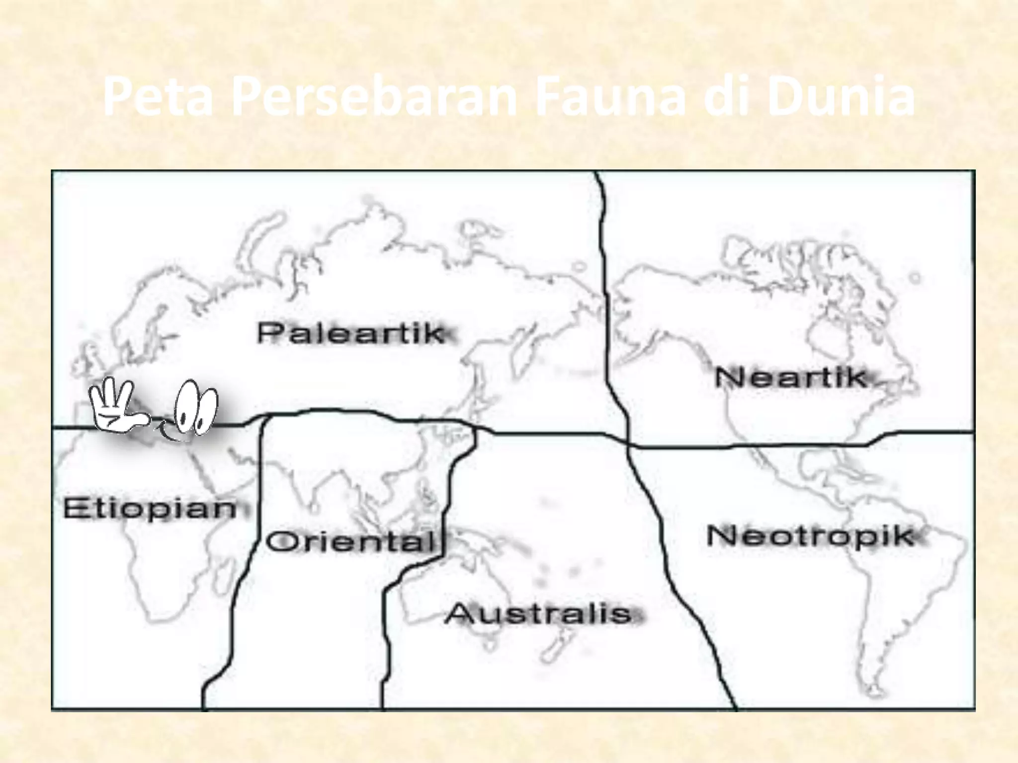 Geografi flora fauna euthopian tundra taiga | PPTX