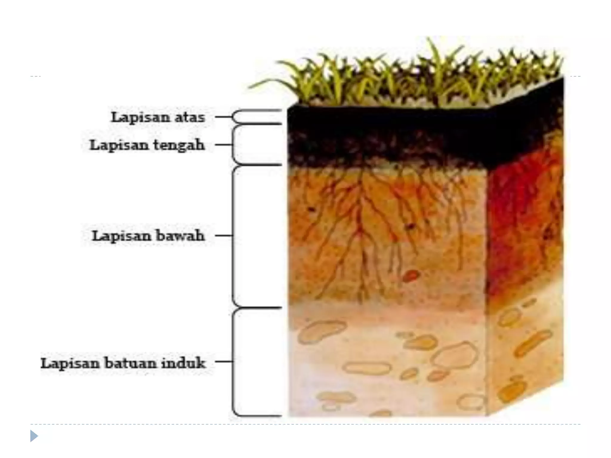 komponen komponen dan sifat tanah | PPTX