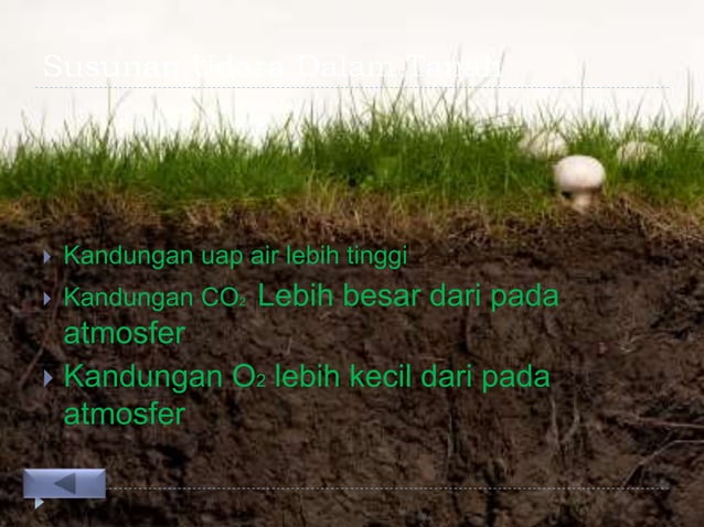 komponen komponen dan sifat tanah | PPTX