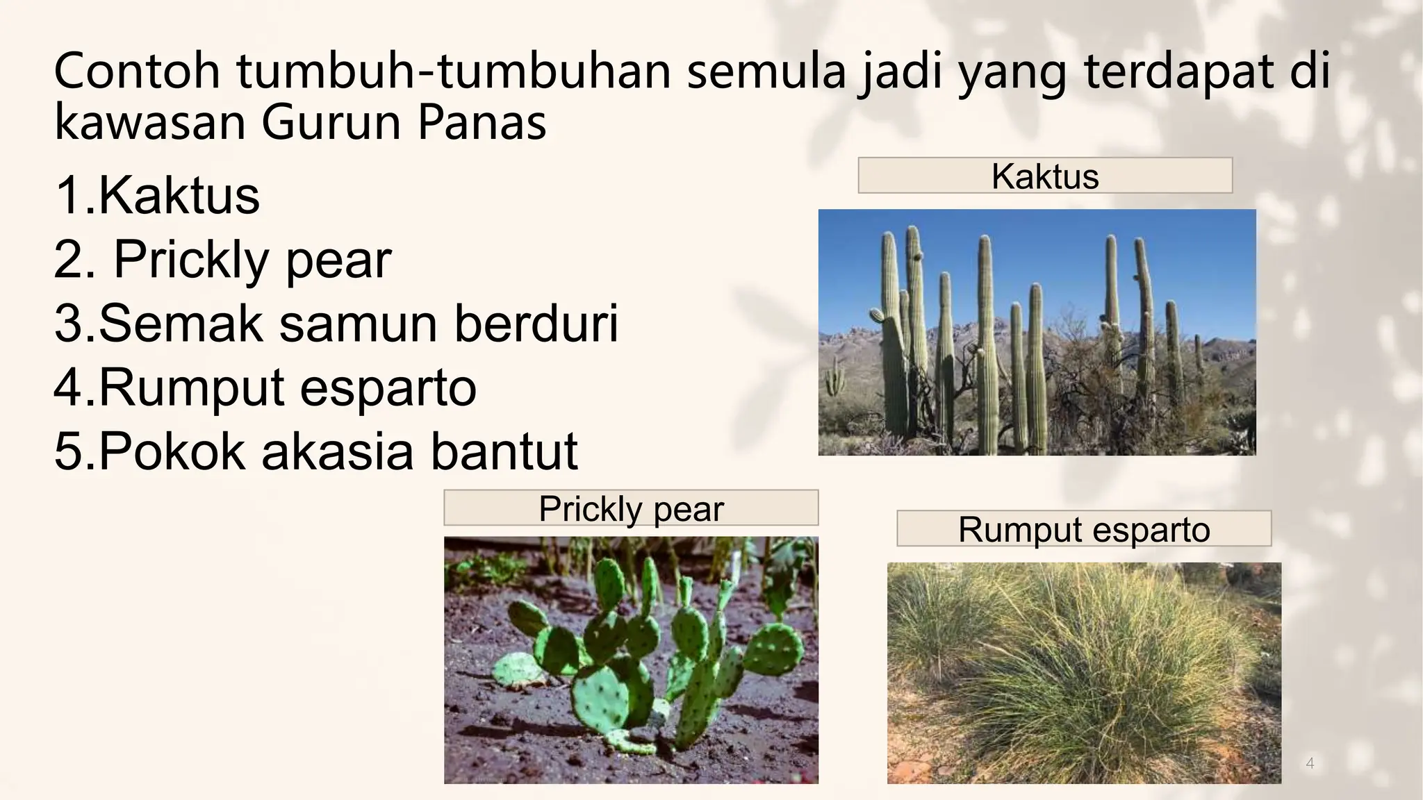 GEOGRAFI PDP TINGKATAN 3 BAB 8 2024.pptx