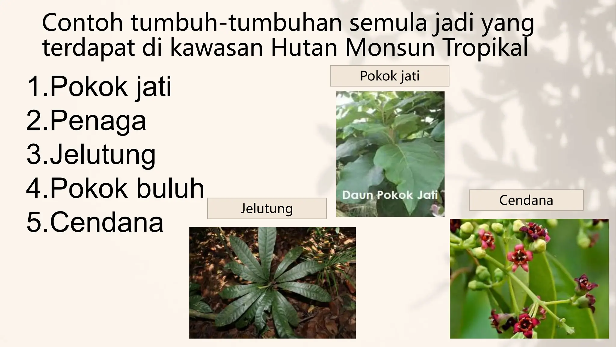 GEOGRAFI PDP TINGKATAN 3 BAB 8 2024.pptx