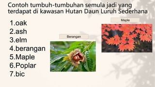 GEOGRAFI PDP TINGKATAN 3 BAB 8 2024.pptx