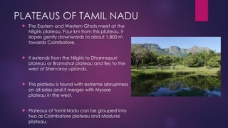 GEOGRAPGY OF TAMIL NADU.pptx for schools | PPTX