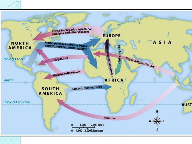 Geographical discoveries | PPT