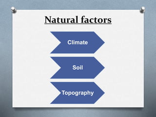 Geographical factors affecting agricultural sector and service sector ...