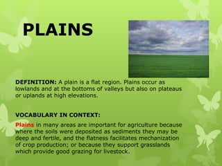 Plains Definition
