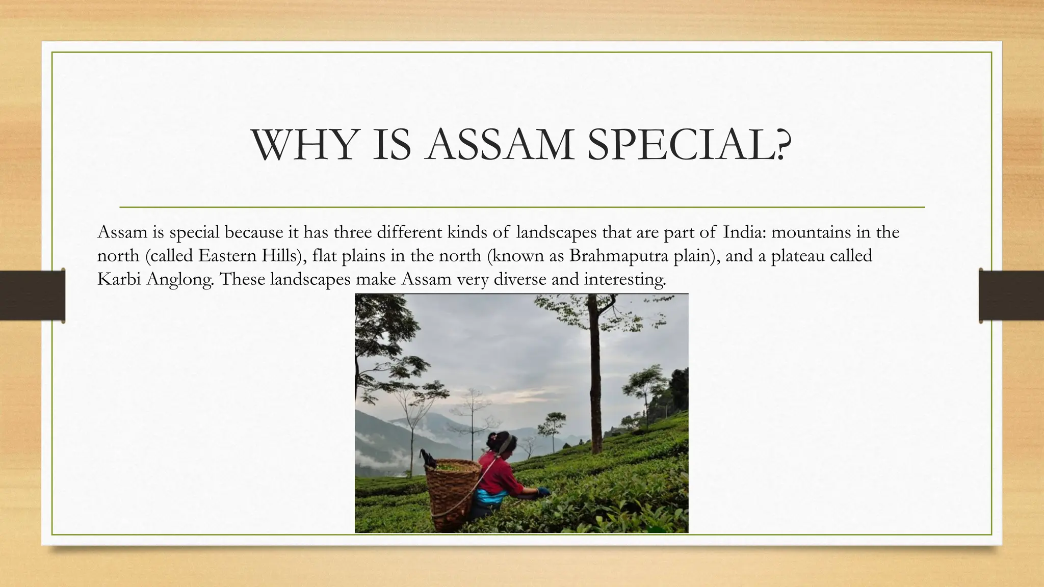 GEOGRAPHICAL FEATURES OTTTTTF ASSAM.pptx