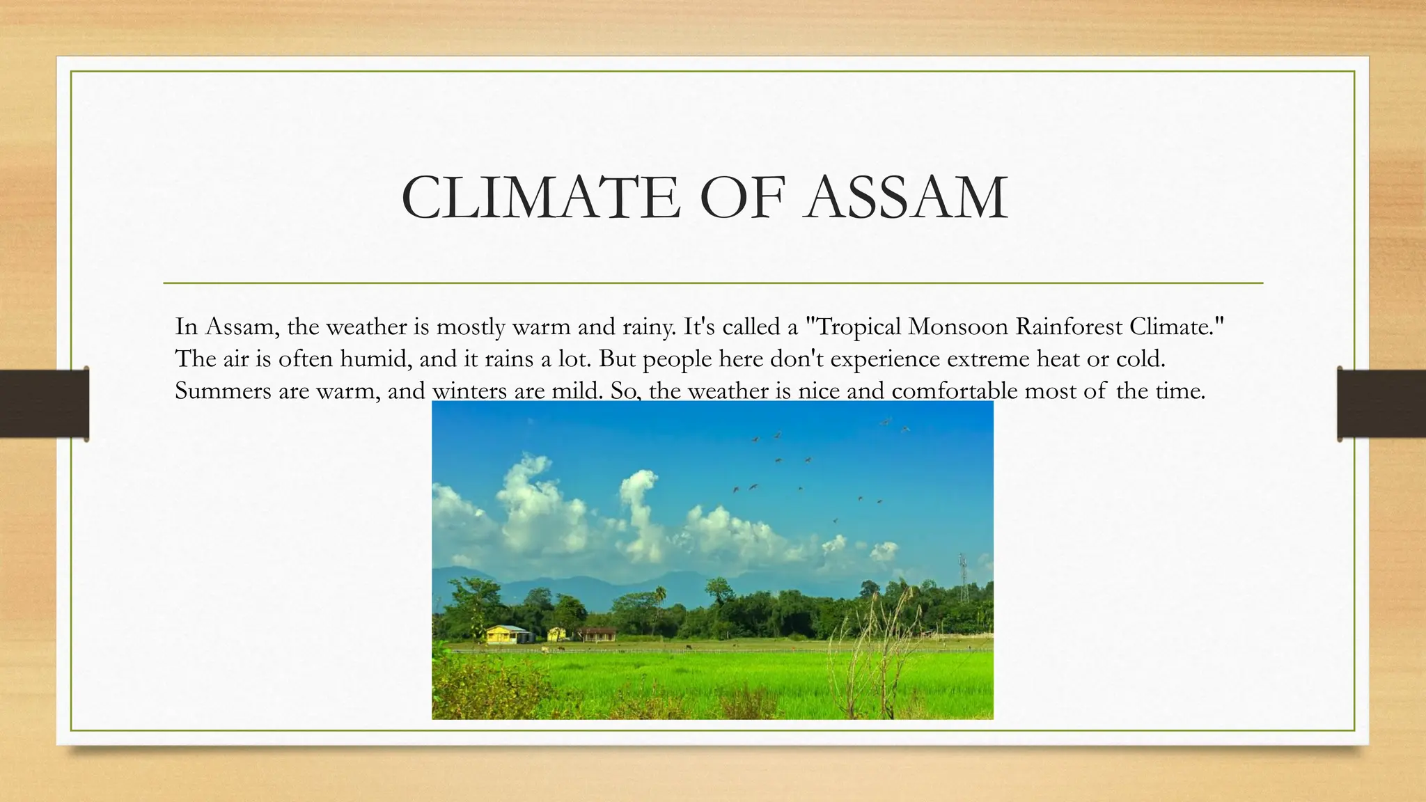 GEOGRAPHICAL FEATURES OTTTTTF ASSAM.pptx