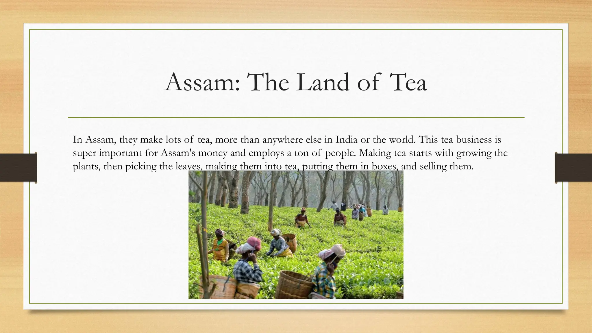 GEOGRAPHICAL FEATURES OTTTTTF ASSAM.pptx