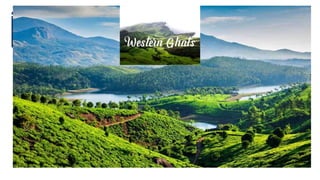 Geographical features of tamilnadu | PPTX