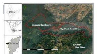 Geographical features of tamilnadu | PPTX