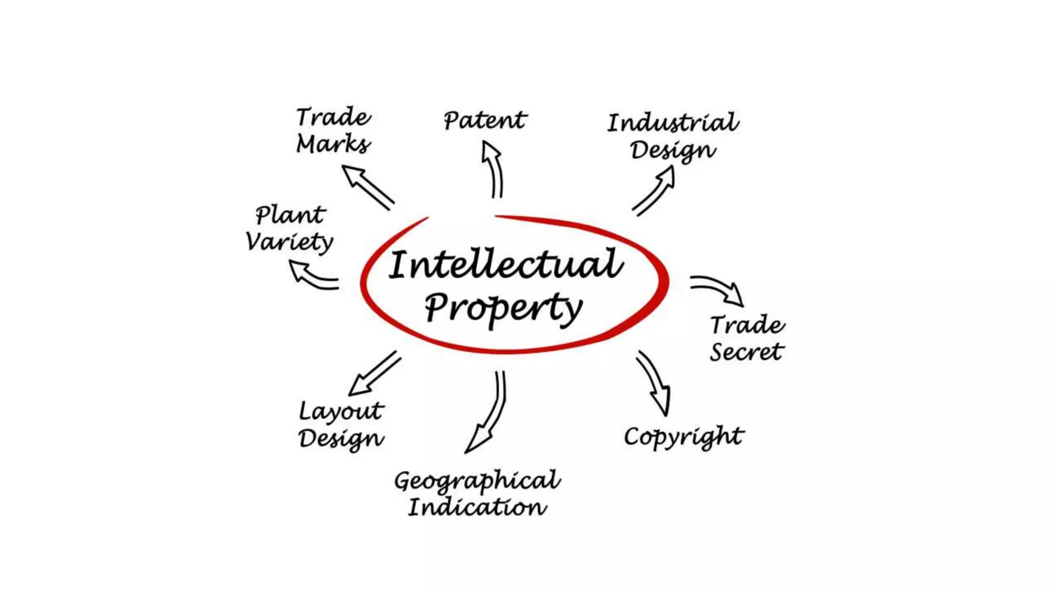 Geographical indication | PPT