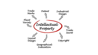 Geographical indication | PPT