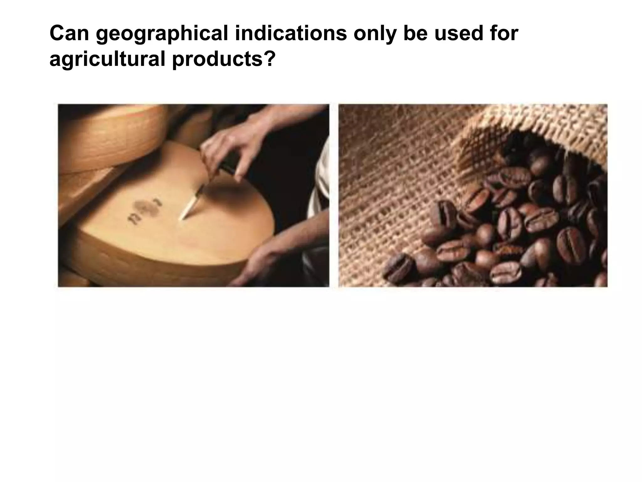 Geographical indications | PPTX