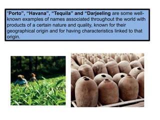 Geographical indications | PPTX